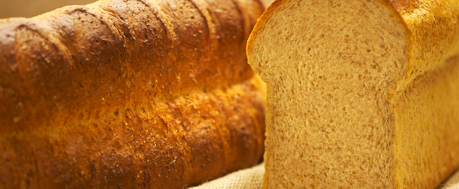 PROSON BRUIN ROYAL | Products | Sonneveld