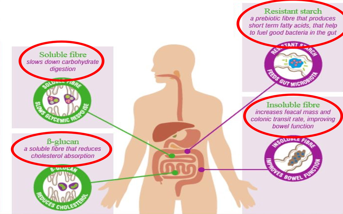 BARLEYmax®: making the healthy choice the tasty choice | Blog